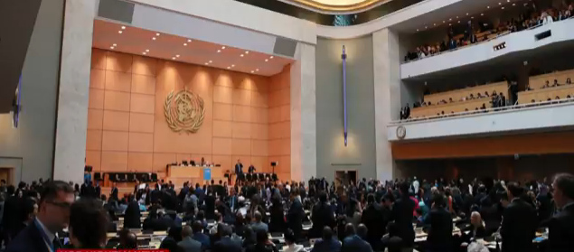 LOCAL HEALTH ISSUES RAISED AT 70TH WHO ASSEMBLY - HGPTV - Guyana's ...