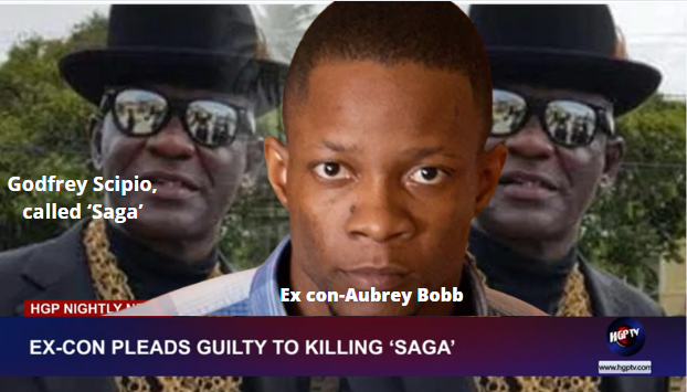 EX CON PLEADS GUILTY TO KILLING ‘SAGA’ - HGPTV - Guyana's Nightly News ...