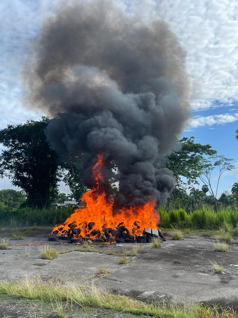 CANU destroys $500M worth of local and foreign marijuana - HGP TV ...