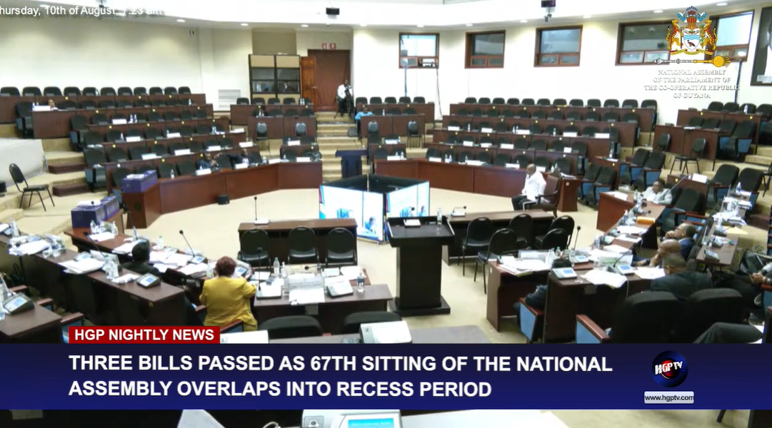 Three Bills passed as 67th sitting of the National Assembly overlaps ...