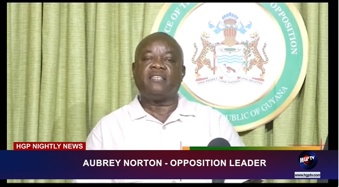 USE OF ONE GUYANA SLOGAN IN BORDER CONTROVERSY IS PARTISAN – NORTON ...