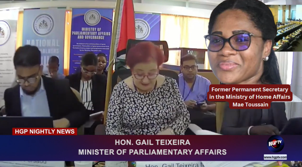 GOVERNMENT CHIEF WHIP MUM WHEN UN HUMAN RIGHTS REP. ASKED ABOUT MAE ...