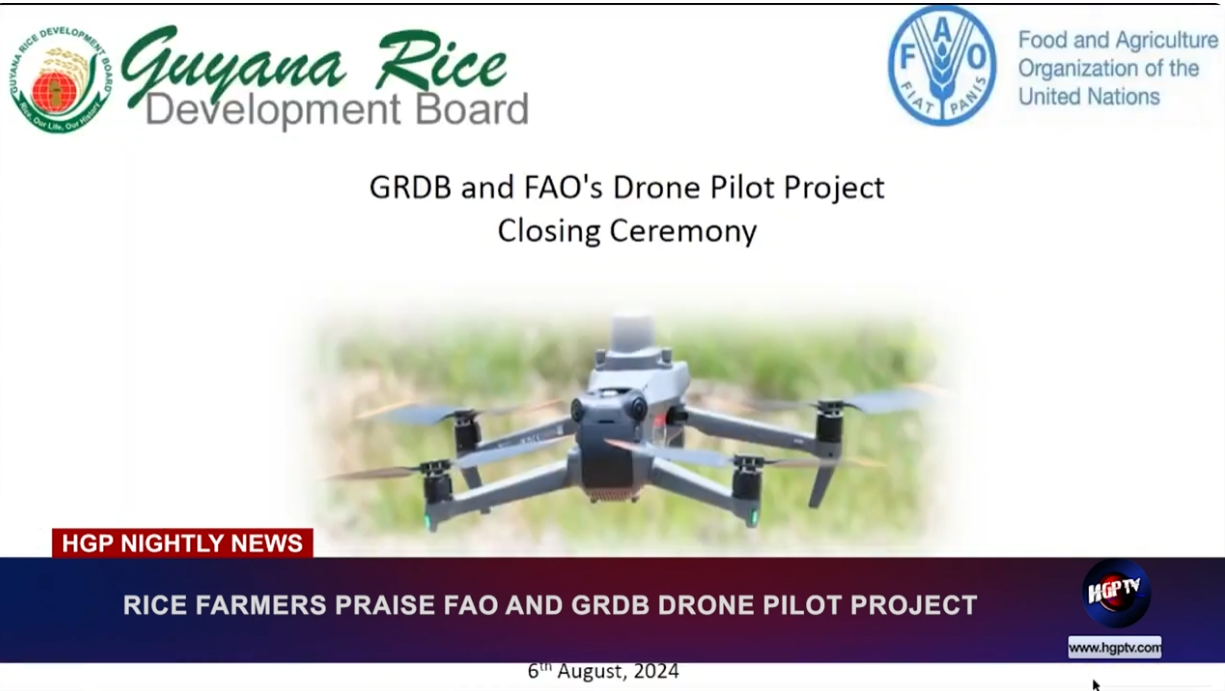 RICE FARMERS PRAISE FAO AND GRDB DRONE PILOT PROJECT - HGPTV - Guyana's ...